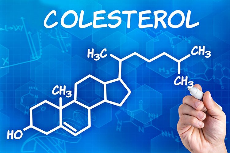 Colesterol LDL: El Colesterol Malo Explicado - Guía Definitiva - La ...