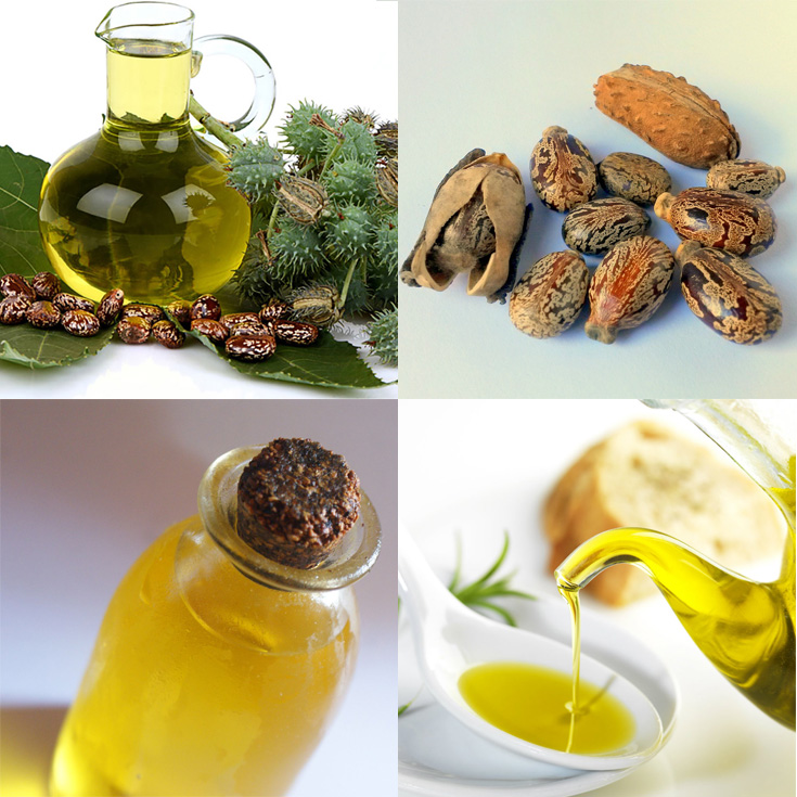 Aceite De Ricino: 12 Beneficios Y Usos Para Mejorar Tu Salud - La Guía ...