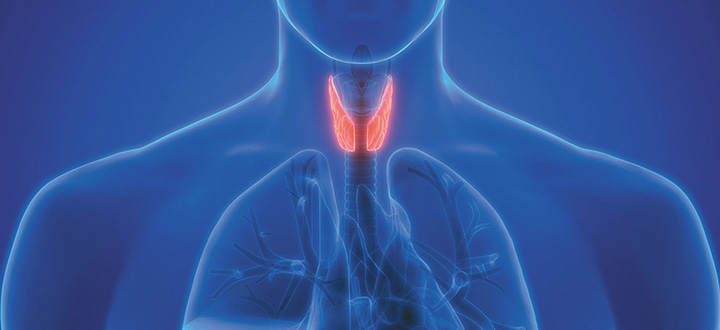 Tiroiditis Subaguda: Causas, Síntomas, Tratamiento - La Guía de las ...