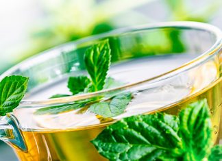 44 Plantas Medicinales, Para Qué Sirven y Como Cultivarlas